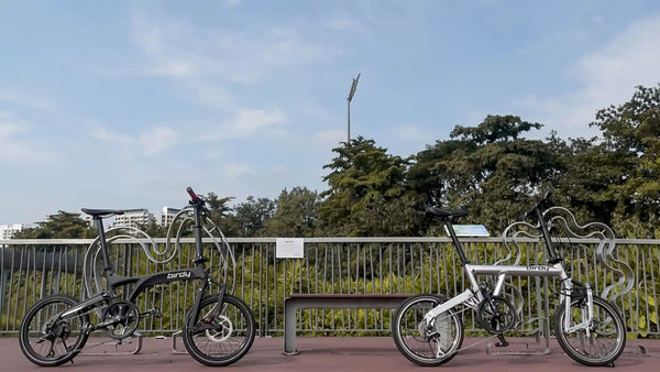 The battle between Birdy New Classic and Birdy City – Birdy Bicycle