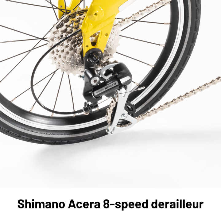 Birdy New Classic | 8-Speed | Performance Foldable Bike – Birdy Bicycle