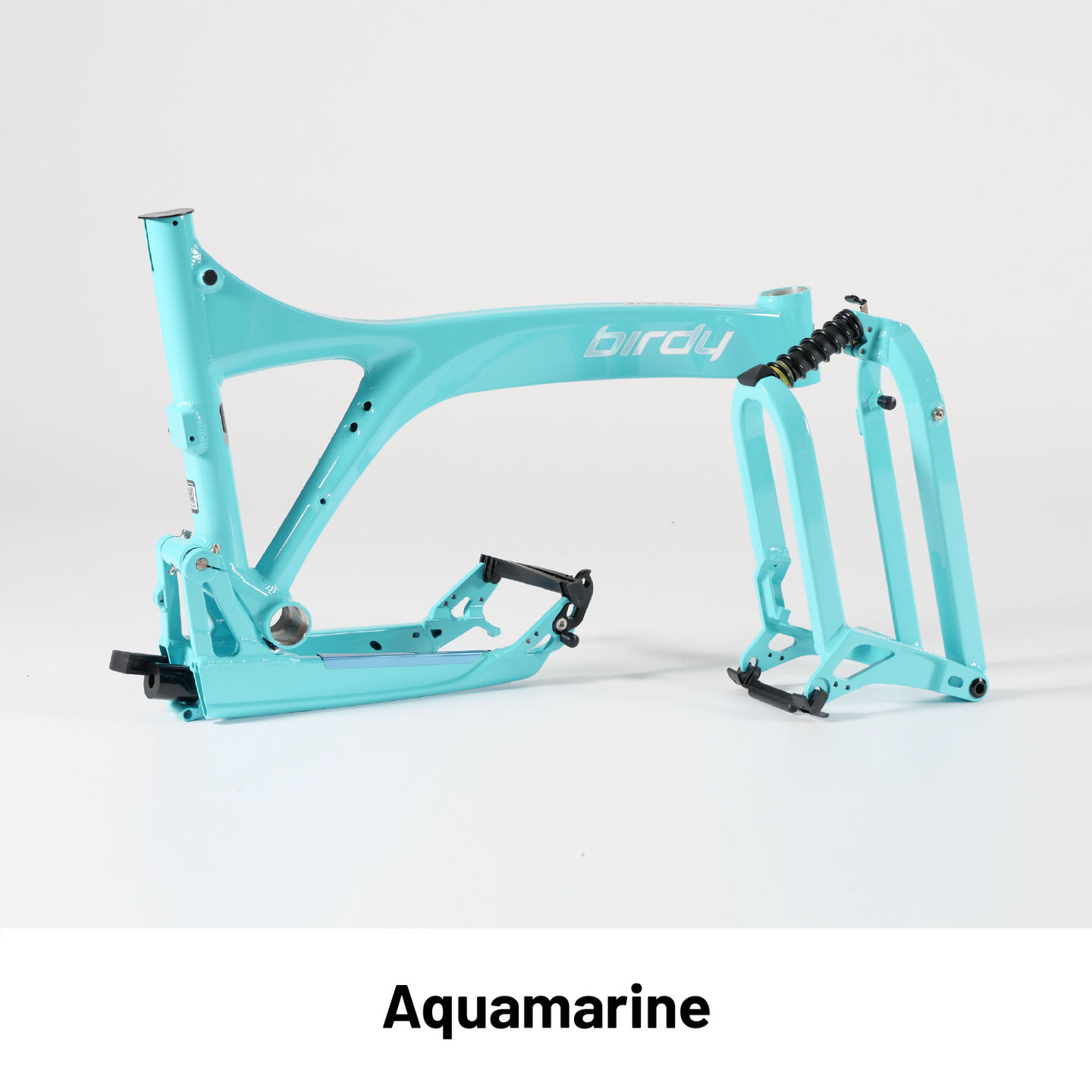 Birdy R20 | 11-Speed | Performance Foldable Bike – Birdy Bicycle