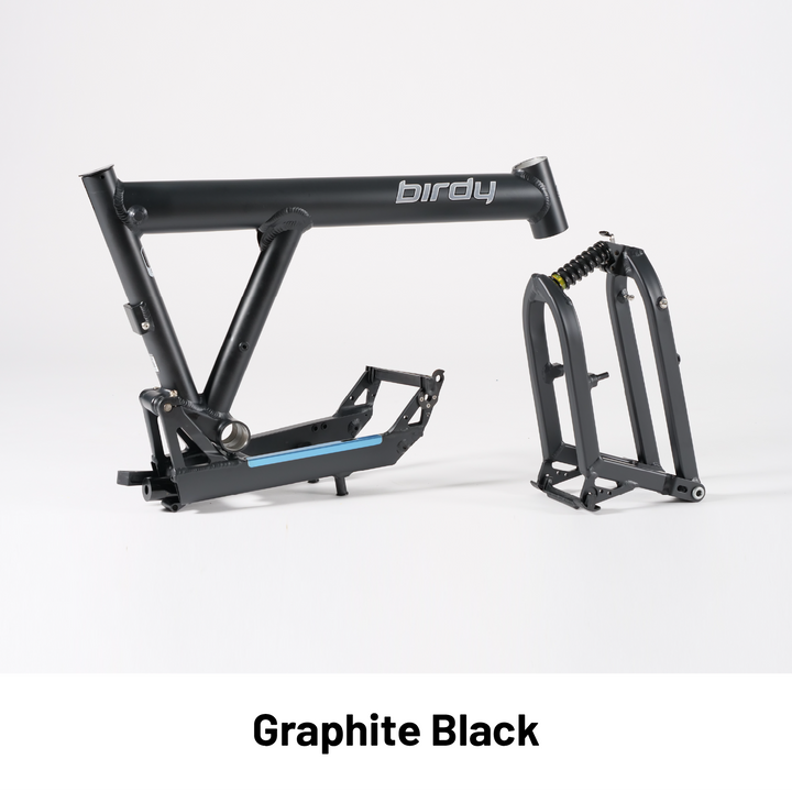 Birdy New Classic | 8-Speed | Performance Foldable Bike – Birdy Bicycle