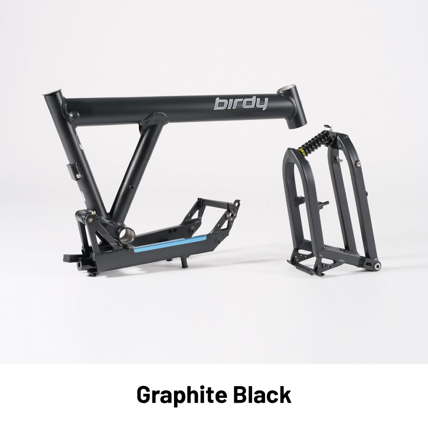 Birdy New Classic | 8-Speed | Performance Foldable Bike – Birdy Bicycle